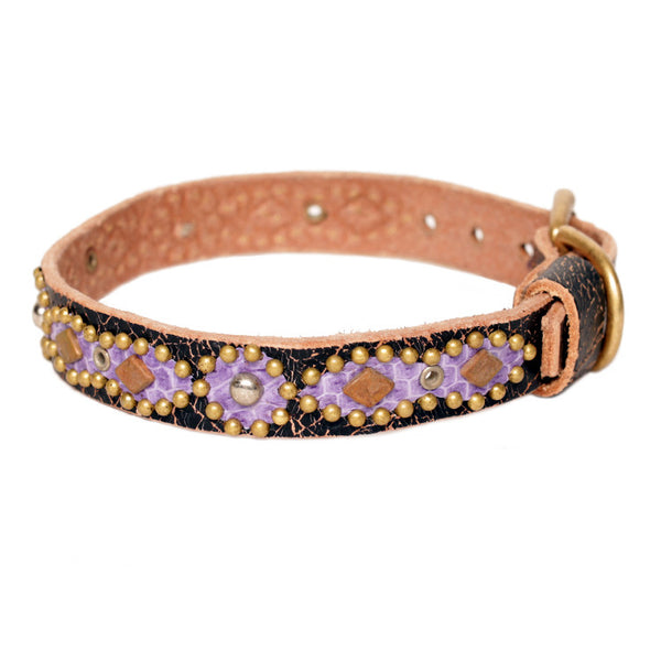 IL07505 – Hollywood Collars